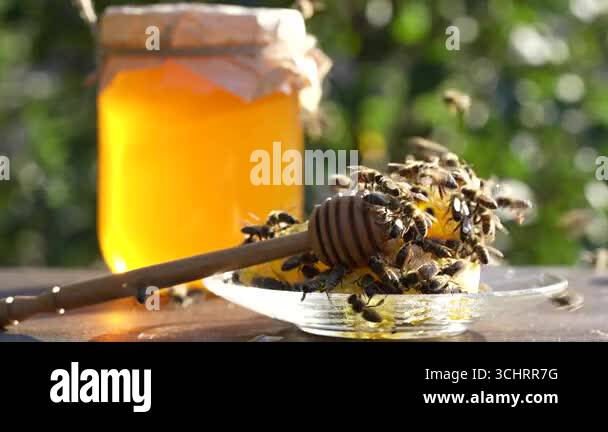 Fresh honey with wooden honey dipper and wild bees on sunny day against ...