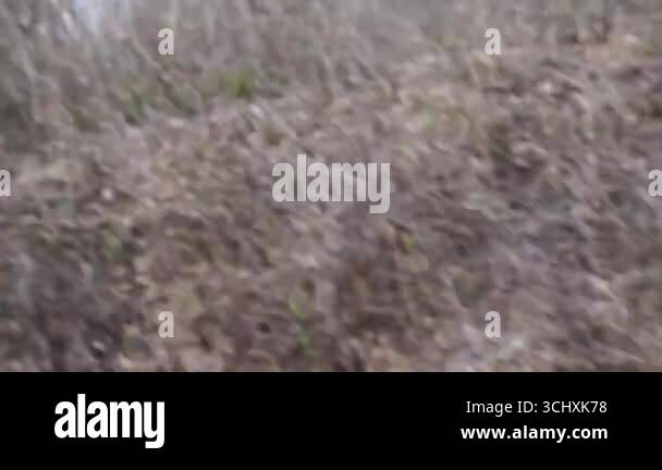 Beautiful Indian Railway Journey in MP, India Stock Video Footage - Alamy