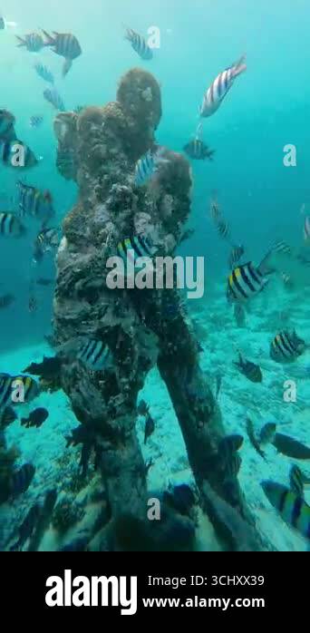 Underwater statues at Gili Meno, Indonesia, surrounded by tropical fish ...