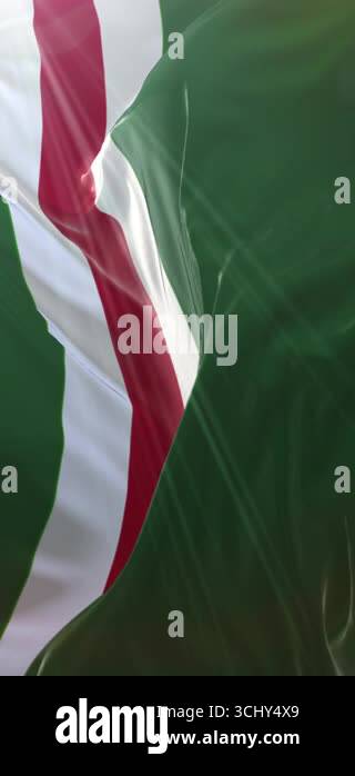 Flag of The Chechen Republic of Ichkeria in slow, loop. 4K Vertical ...