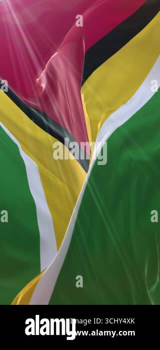 Creole identity Stock Videos & Footage - HD and 4K Video Clips - Alamy