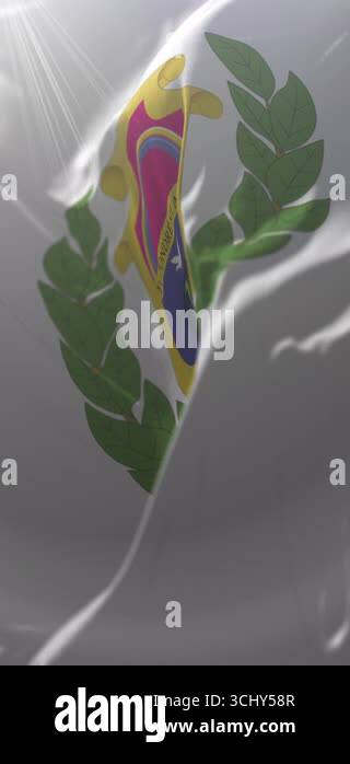 Alta Verapaz Department Flag, Guatemala. Loop. 4K Vertical Stock Video ...
