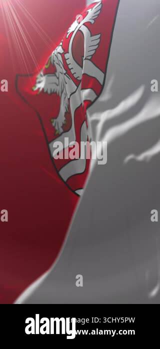 Flag of Karlovy Vary, Czech Republic. Loop. 4K Vertical Stock Video ...