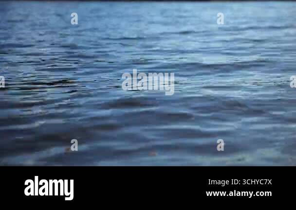 Close up view on lake with small waves at sunny day. Calm scenery of ...