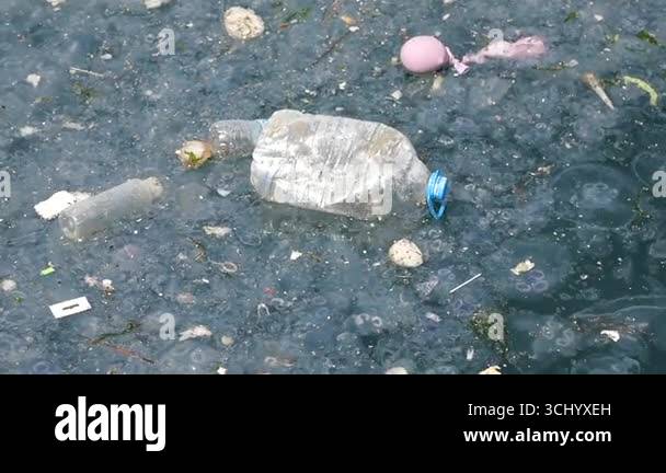 Ocean waste cleanup Stock Videos & Footage - HD and 4K Video Clips - Alamy