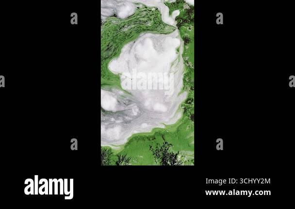 Green algae and white foam create an abstract pattern on the waters ...