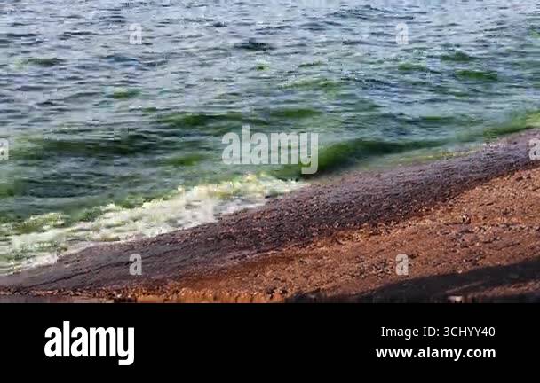 The ocean waves meet the sandy shoreline, creating a beautiful natural ...