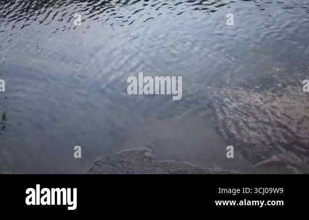 Submerged log under rippling water surface, close up Stock Video ...