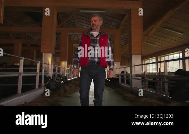 Adult owner of farm walking along farmhouse, looking around. Successful ...