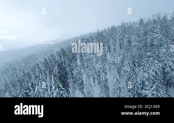 Aerial FPV drone views of picturesque winter valley. Frozen snow ...