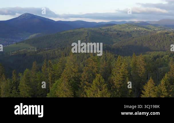 The breathtaking stunning view perfectly showcases rolling hills, thick ...