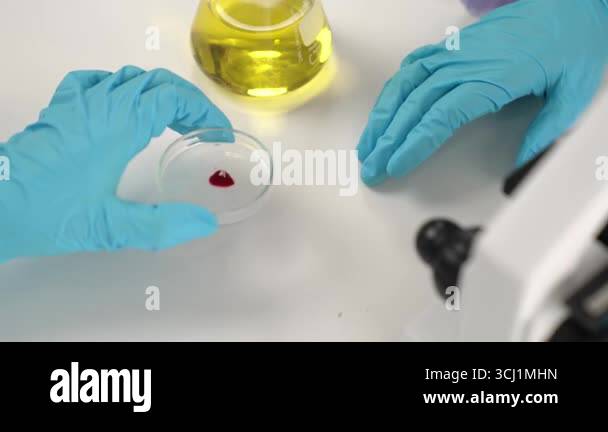 Laboratory researcher drop blood sample on microscopic slide for ...