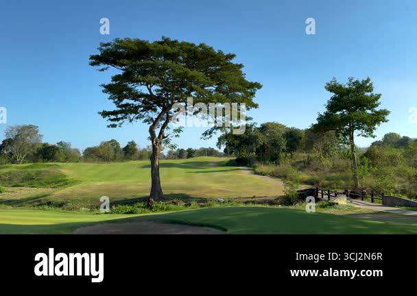 Club scenery Stock Videos & Footage - HD and 4K Video Clips - Alamy