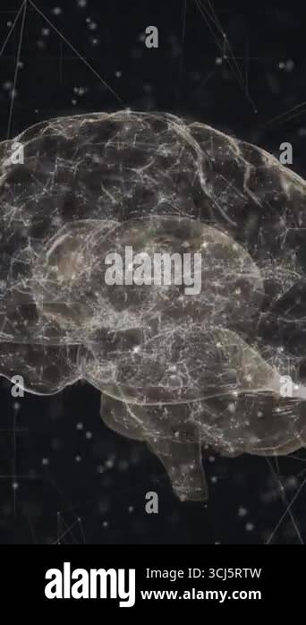 Digital animation of human brain and dna structure spinning against network of connections ...