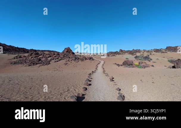 Venture into a tranquil desert landscape that features a gently winding ...