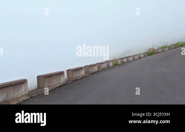 A long winding road shrouded in thick dense fog, surrounded by lush ...