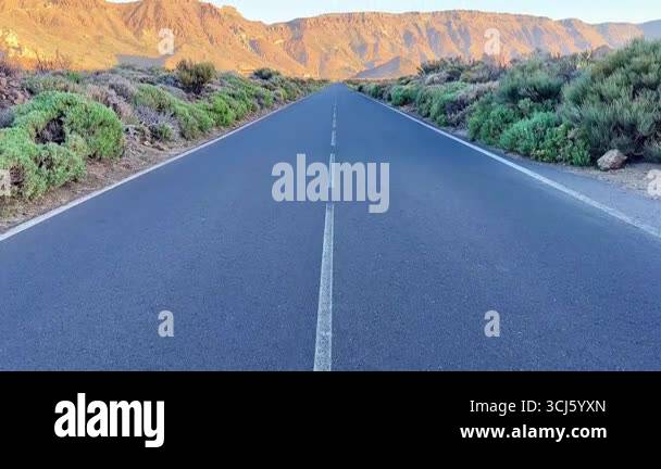 Road surrounded greenery background Stock Videos & Footage - HD and 4K ...