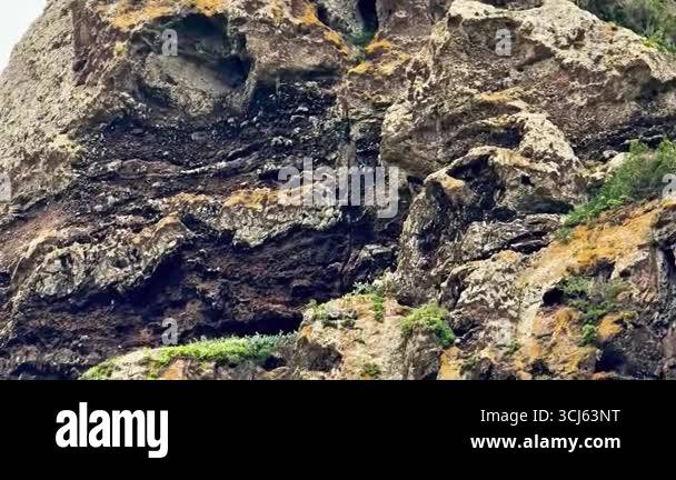 A stunning view of a rocky cliff adorned with vibrant greenery and ...