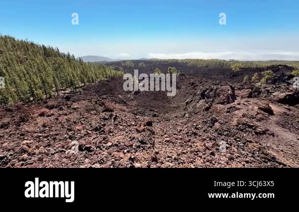 A stunning view of a volcanic lava field with trees, highlighting natures contrast and immense ...
