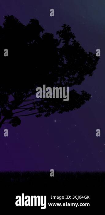 Animation of tree at christmas over aurora. christmas, winter ...