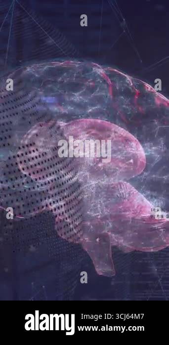 Animation of network of connections over human brain and globe. Global science, connections ...