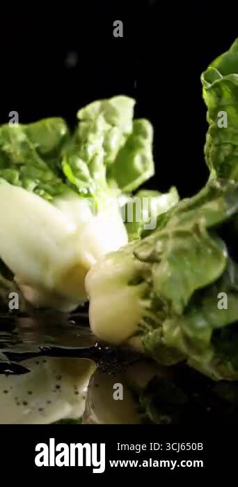 Whole bok choy heads fall and bounce on a reflective, wet black surface ...