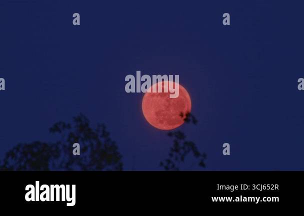 a blood moon glowing in deep orange hues, partially veiled by wisps of ...