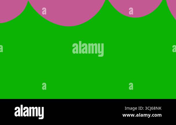 Purple Transition Animation Green Screen | Color Wipe Effect Stock ...