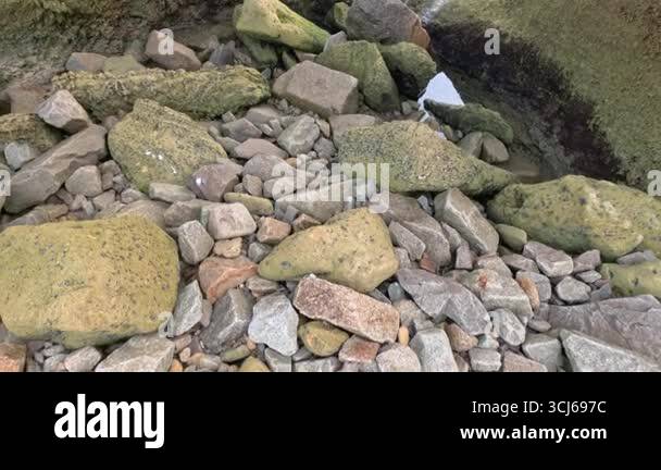 Exploring rock pools and erosion at the beach Stock Video Footage - Alamy