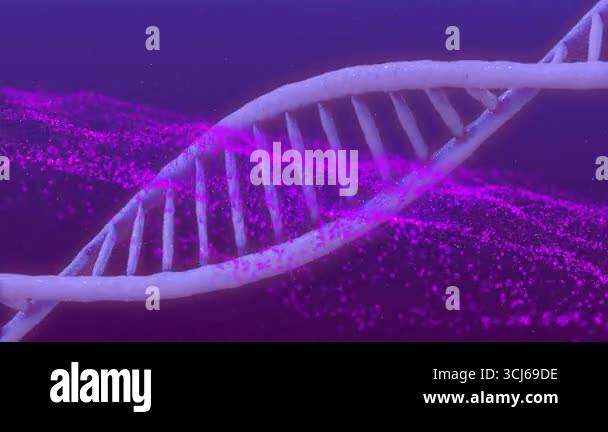 Swirling motion starting rods aligning into helix magenta ribbon ...