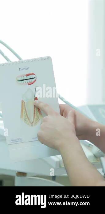 In a bright, modern clinic, a dedicated dentist skillfully explains a ...