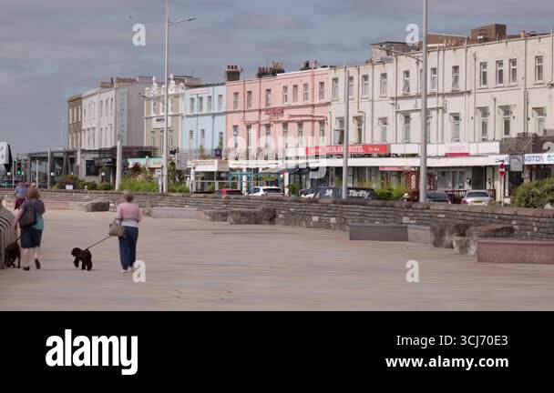 WESTON, UK - AUGUST 8, 2025 - Women walking dogs on Weston super Mare ...
