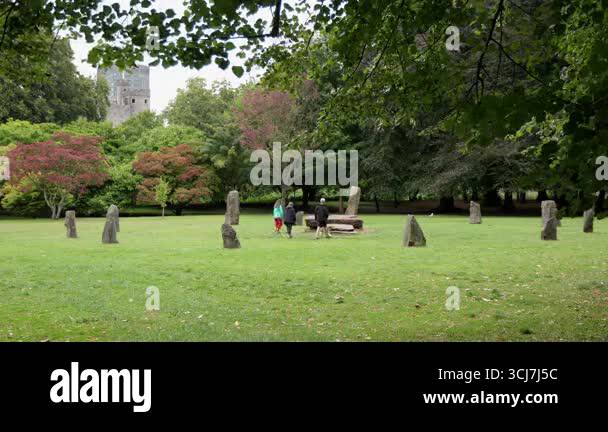 Welsh stone circle Stock Videos & Footage - HD and 4K Video Clips - Alamy