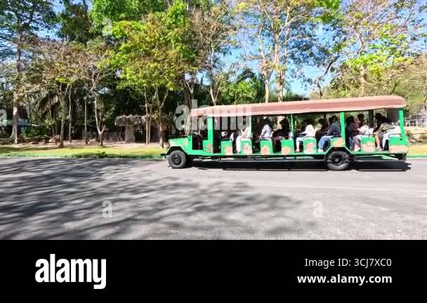 Tram passing through lush zoo environment Stock Video Footage - Alamy