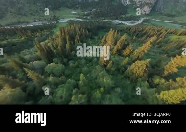 Stunning ala archa national park showcases a lush valley, winding ...