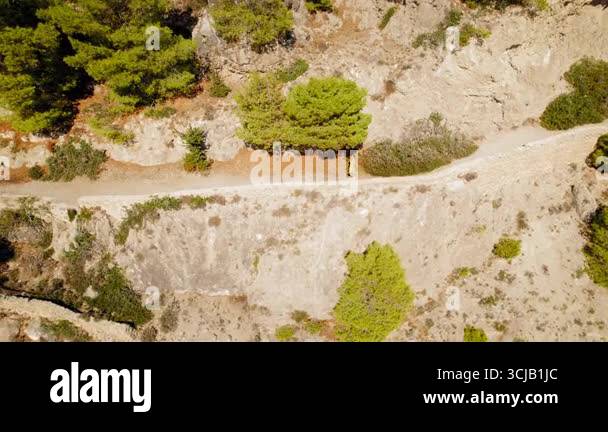 Woman walks along a narrow path by pine trees on a Kefalonia cliffside ...
