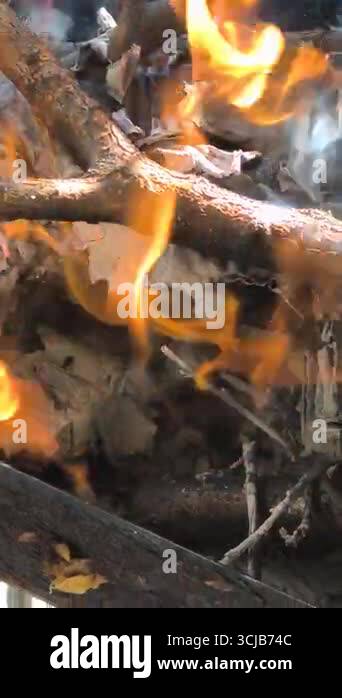 firewood burning close-up. a close up of some very hot charcoal burning in a grill in slow ...