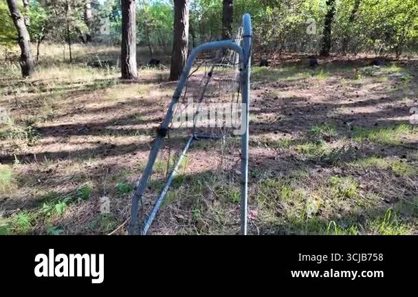 amateur football. football field in the forest. homemade football goals ...