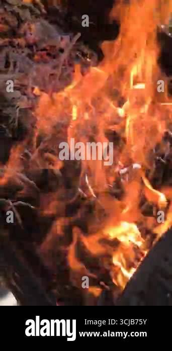firewood burning close-up. a close up of some very hot charcoal burning in a grill in slow ...