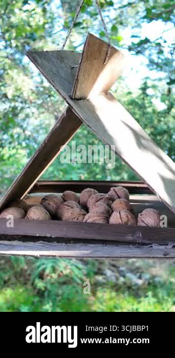 wooden ball on a tree. Beautiful wooden bird feeder. Squirrel feeder ...