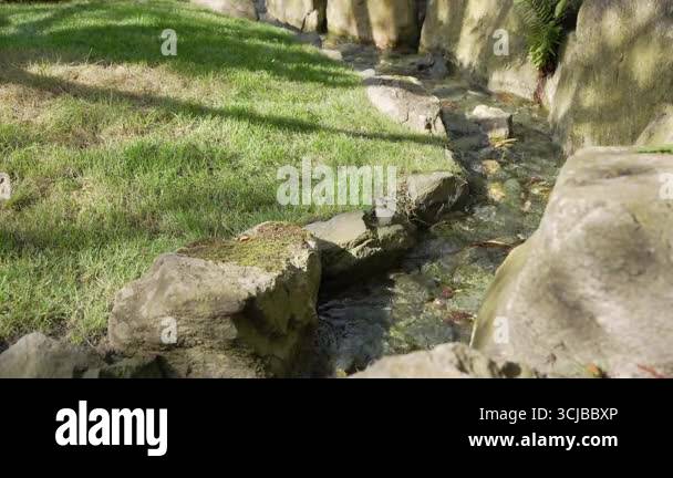 A small stream flows gently between stones and grass. Autumn leaves ...