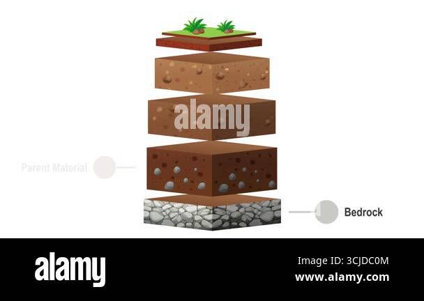 Animation illustrating different layers of soil Stock Video Footage - Alamy