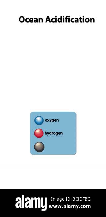Animation illustrates molecular interactions in ocean acidification ...