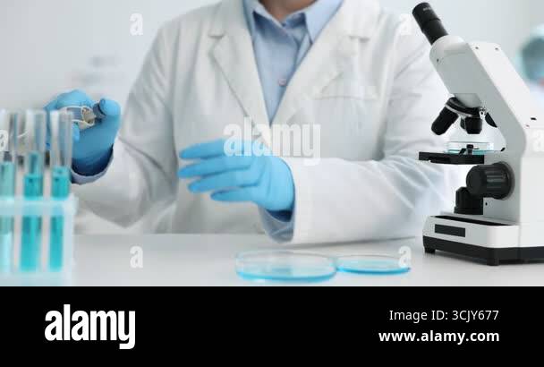 Medical analysis. Scientist taking sample from test tube at table in ...