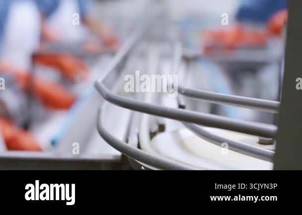 Large factory production line supervisor checks the production quality ...