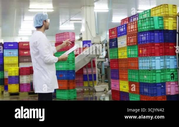 Male production line supervisor checks raw sardines and mackerels in ...