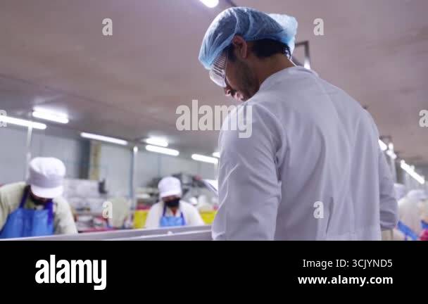 Male production line supervisor carefully inspects sardine raw ...