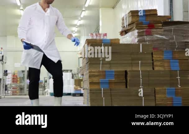 Male store staff packing room sardine canned fish factory check and ...