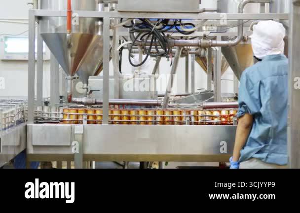 Modern technology production line machinery Mackerel production by ...