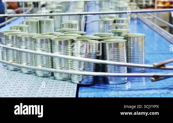 Production process canned cooked sardines or mackerels in large ...